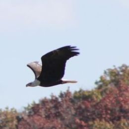 Learn About the Trough WV | Potomac Eagle